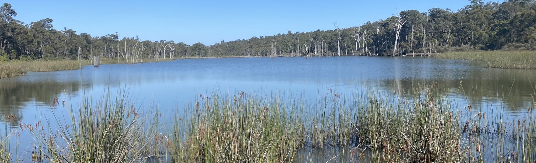 Spring Gully and Schwenke Dam Loop: 8 Reviews, Map - Western Australia ...