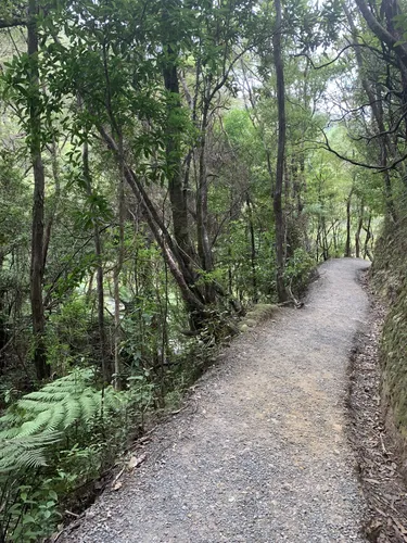 10 Best Trails and Hikes in Paeroa | AllTrails