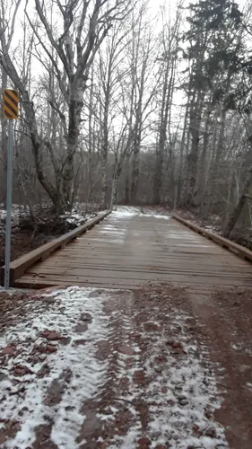 Best Forest Trails in Collingwood Corner | AllTrails