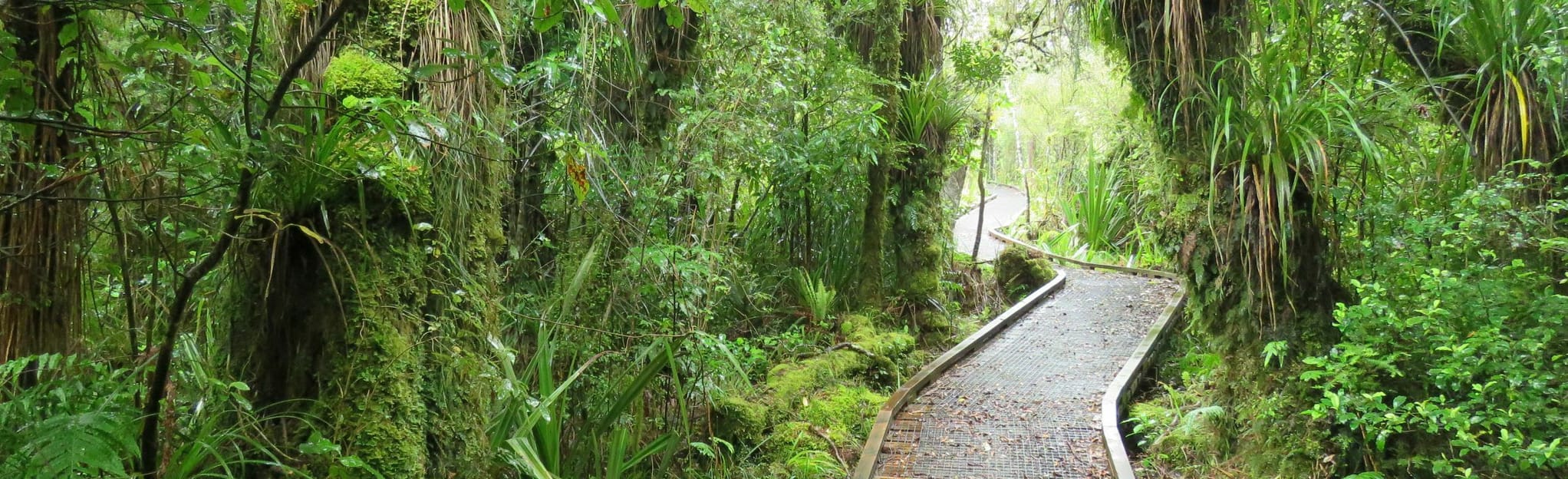 Potaema Walk, Manawatu-Wanganui, New Zealand - 3 Reviews, Map | AllTrails