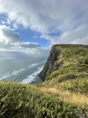 10 Best Trails and Hikes in Auckland | AllTrails
