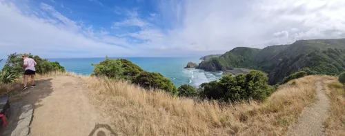 10 Best Trails and Hikes in Piha | AllTrails