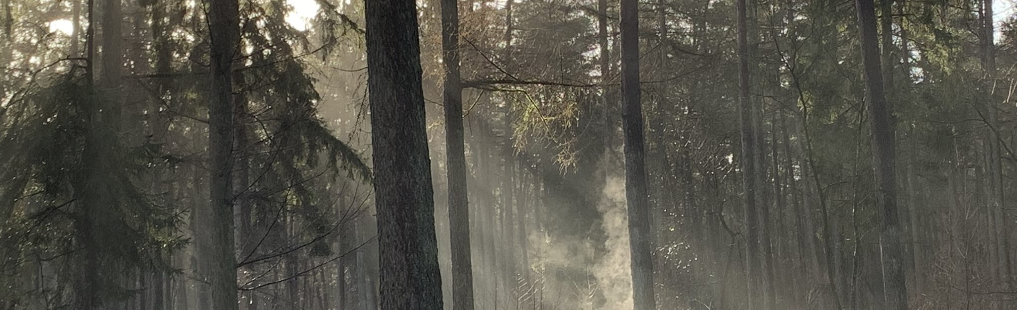 Eerbeek Station - Dieren Station: 0 Reviews, Map - Gelderland ...