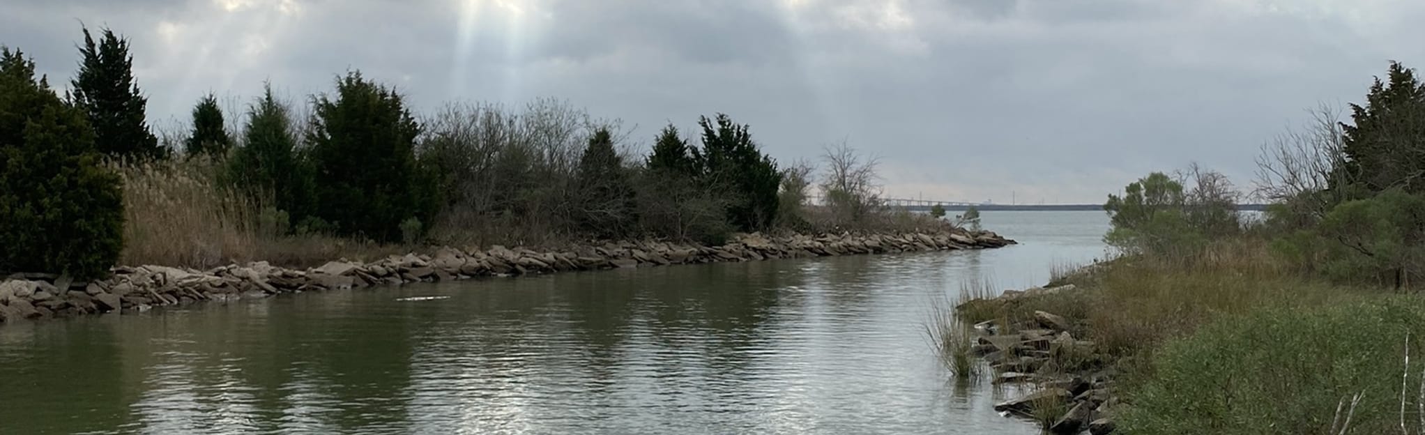 Baytown Nature Center Loop, Texas - 87 Reviews, Map | AllTrails