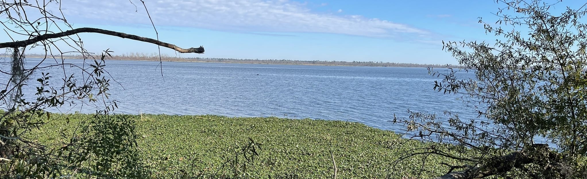 Three Rivers State Park Lakeview Trail: 75 Reviews, Map - Florida ...