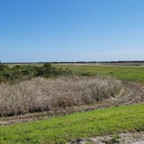 Three Forks Marsh Trail, Florida - 33 Reviews, Map | AllTrails