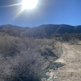 Mormon Rocks Interpretive Trail, California - 239 Reviews, Map | AllTrails