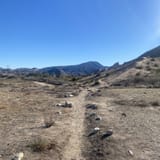 Mormon Rocks Interpretive Trail, California - 239 Reviews, Map | AllTrails