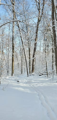 Best Hikes and Trails in Frost Centre Trails | AllTrails