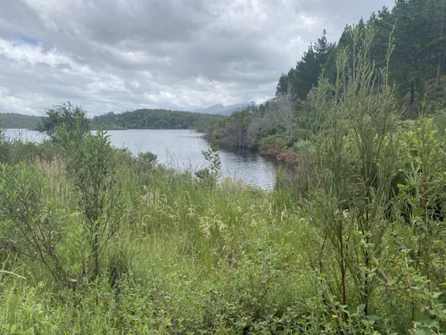 10 Best Trails and Hikes in George | AllTrails