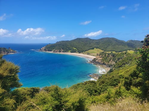 2023 Best Long Trails in Aotea Conservation Park | AllTrails