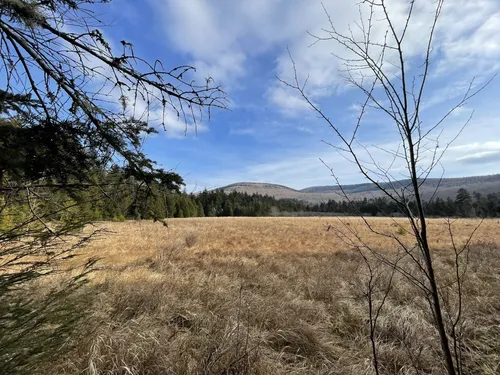 Best Hikes and Trails in Colgate Lake Wild Forest | AllTrails