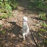 Temple Terrace Riverfront Park Trail, Florida - 35 Reviews, Map | AllTrails