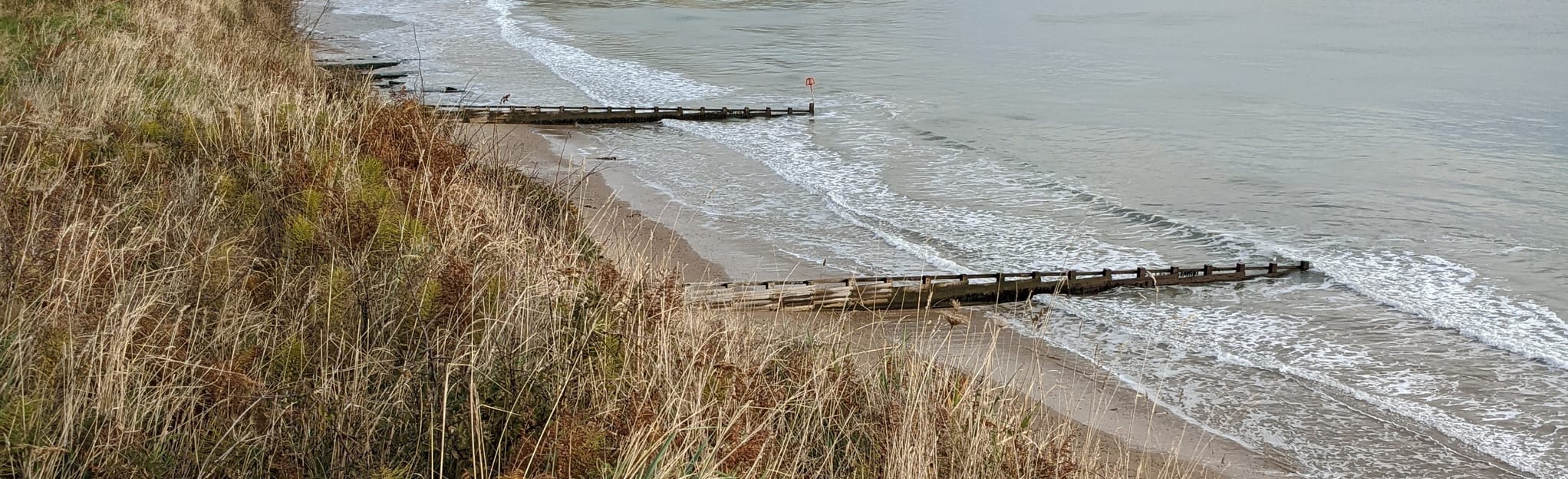 Old Harry Rocks via Coast Path: 700 foto's - Dorset, Engeland | AllTrails