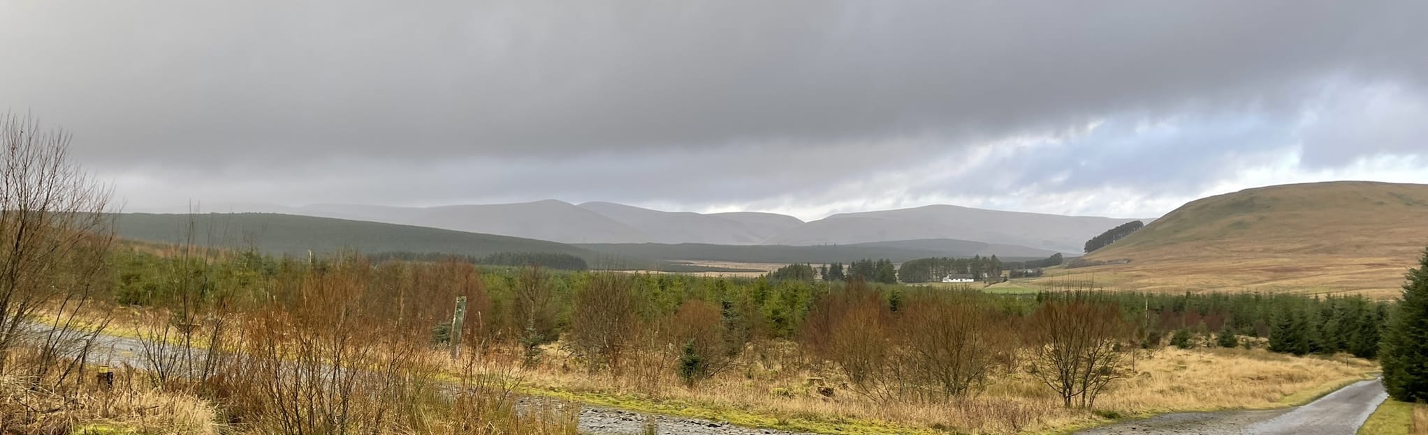 Daer Reservoir, South Lanarkshire, Scotland - 6 Reviews, Map | AllTrails