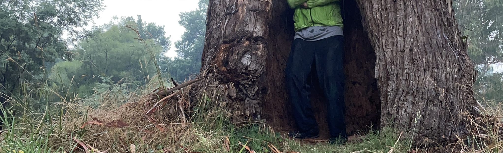 The Island at Jamieson, Victoria, Australia - Map, Guide | AllTrails