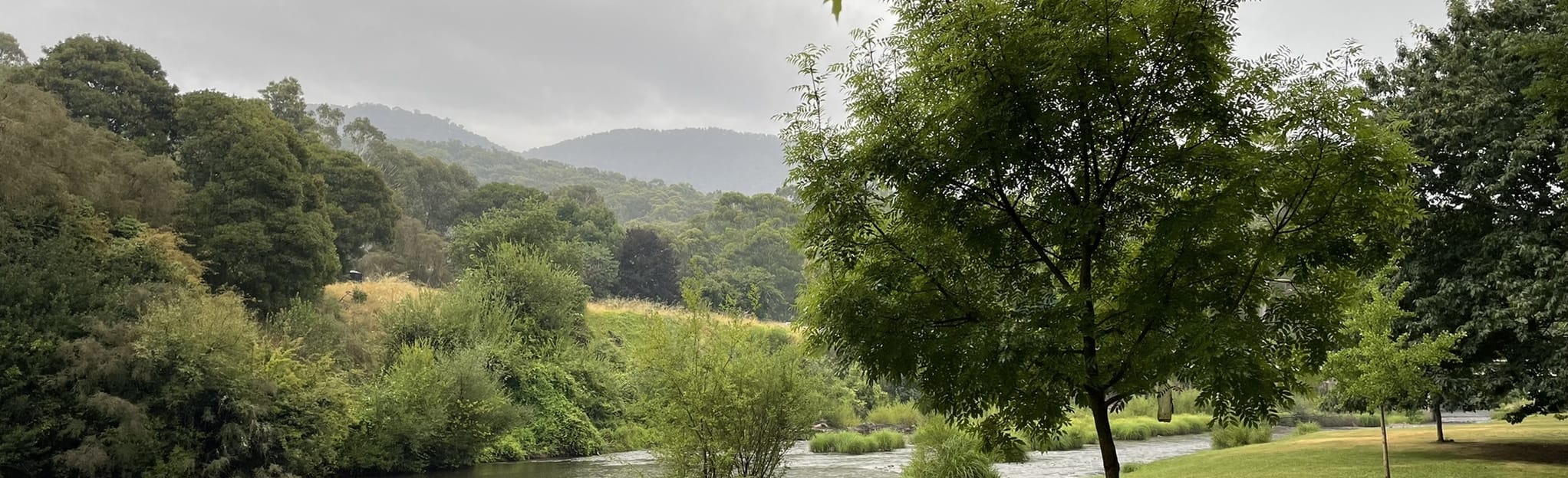Sappers Track via Jamieson South Firebreak Loop, Victoria, Australia ...