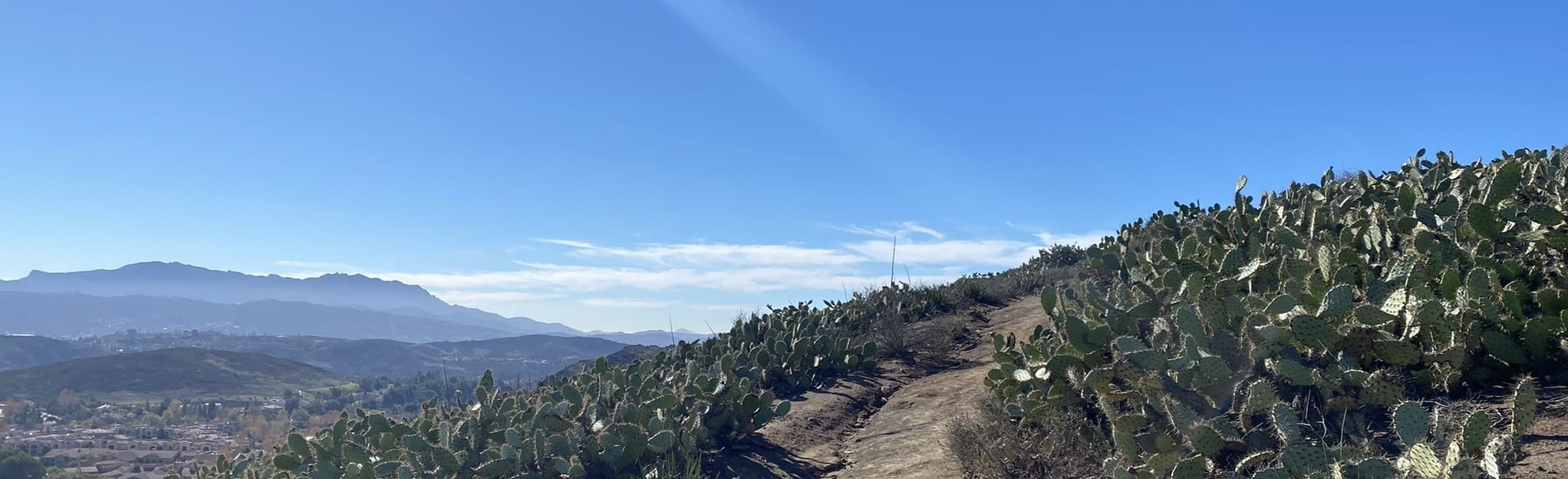 Mount Clef Ridge Trail, California - 78 Reviews, Map | AllTrails