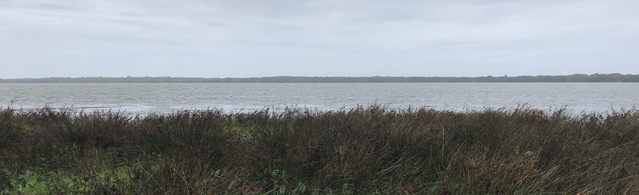 Lake Munmorah Foreshore from Budgewoi, New South Wales, Australia - 15 ...