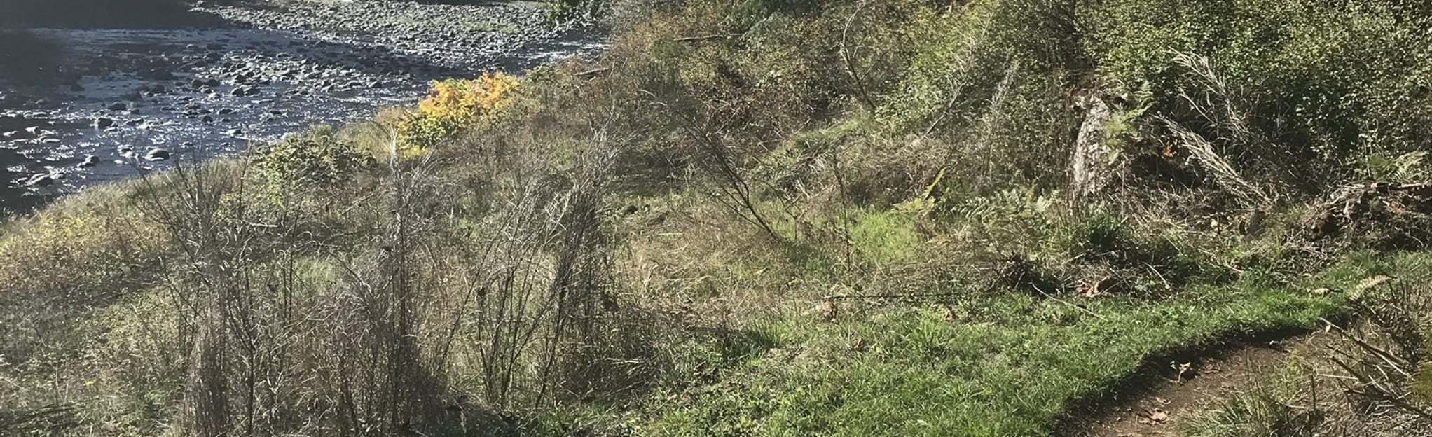 Wilson River Trail: 530 Reviews, Map - Oregon | AllTrails