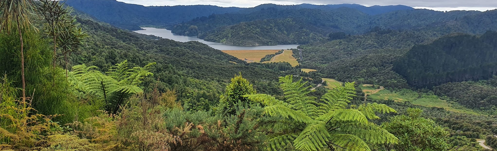 Kohukohunui to Upper Mangatawhiri Campground, Auckland, New Zealand ...