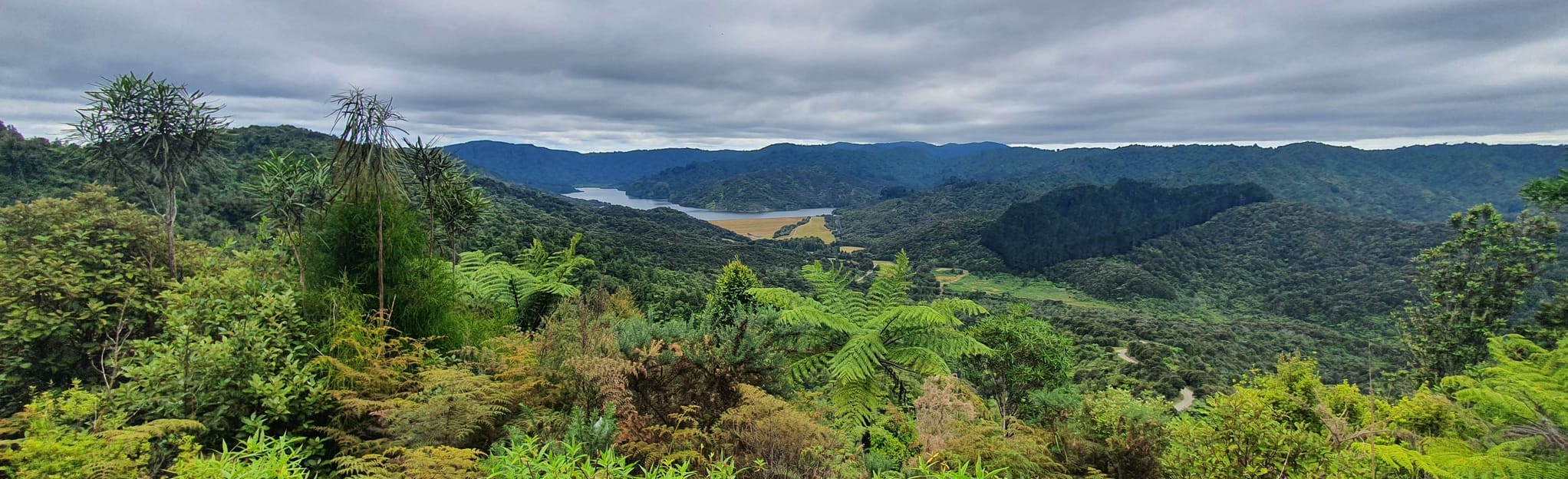 Wairoa Dam Lookout Loop, Auckland, New Zealand - 145 Reviews, Map ...