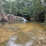 Waitui Falls, New South Wales, Australia - 12 Reviews, Map | AllTrails
