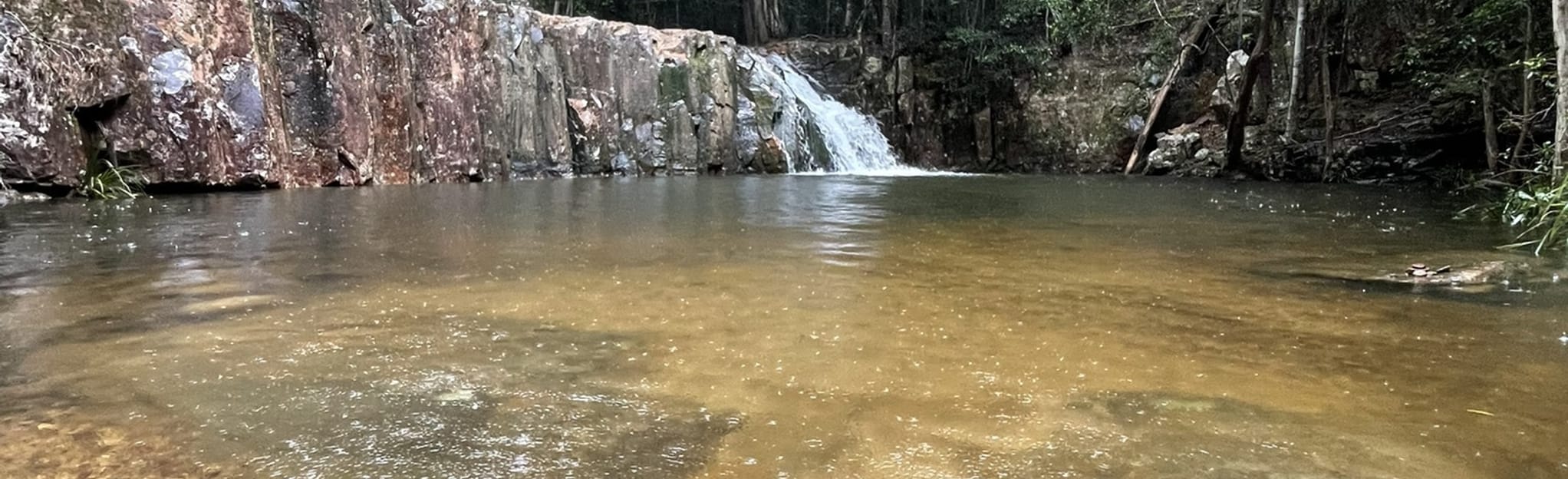 Waitui Falls, New South Wales, Australia - 10 Reviews, Map | AllTrails