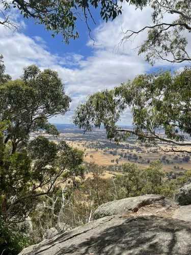 Best 10 Hiking Trails in Mount Alexander Regional Park | AllTrails