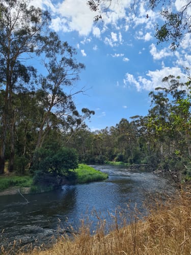 Los 10 mejores senderos y rutas en Warrandyte State Park | AllTrails