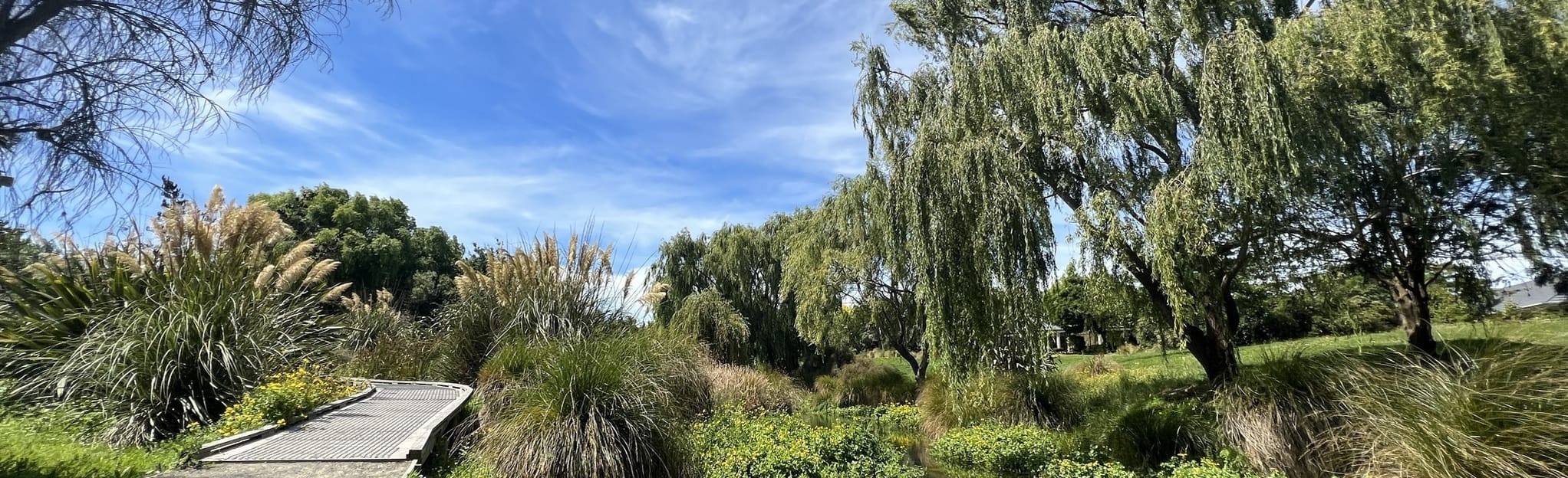 Liffey Stream Walk, Canterbury, New Zealand - 18 Reviews, Map | AllTrails
