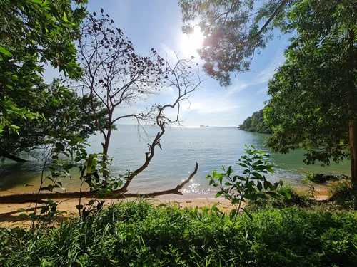 Best Hikes and Trails in Tanjung Tuan Recreational Forest | AllTrails