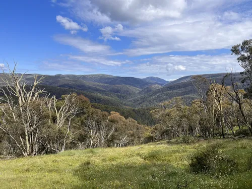10 Best Hikes and Trails in Alpine National Park | AllTrails
