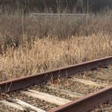 Maybrook Trailway - Dutchess Rail Trail, New York - 77 Reviews, Map ...