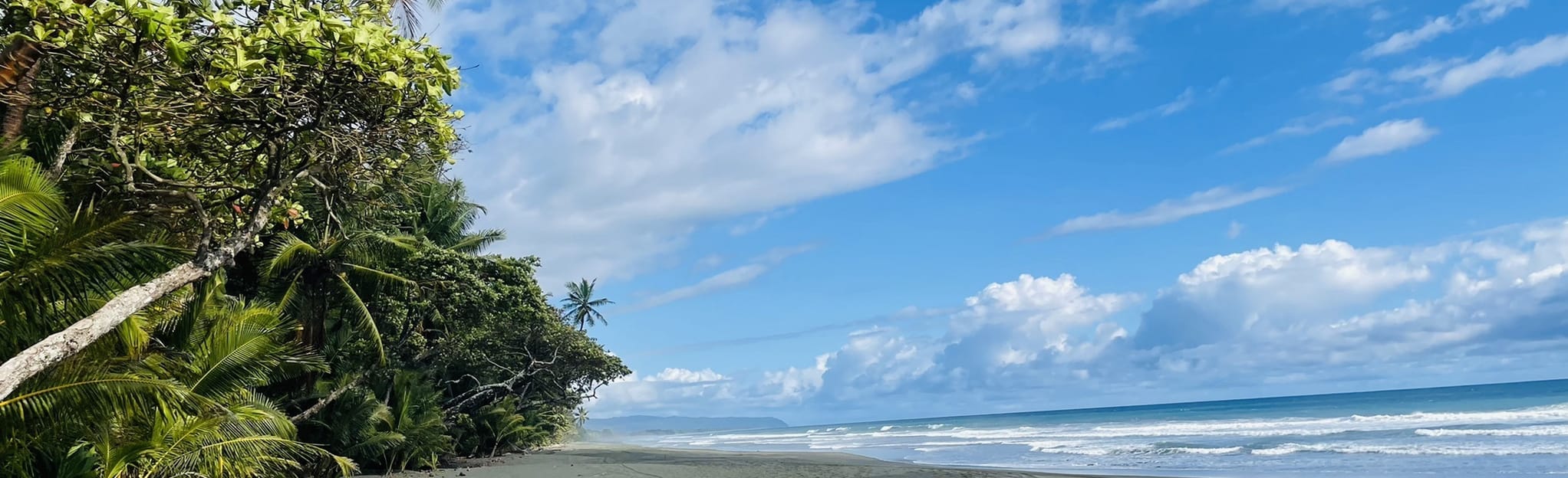 La Leona - La Sirena - Puntarenas, Costa Rica | AllTrails