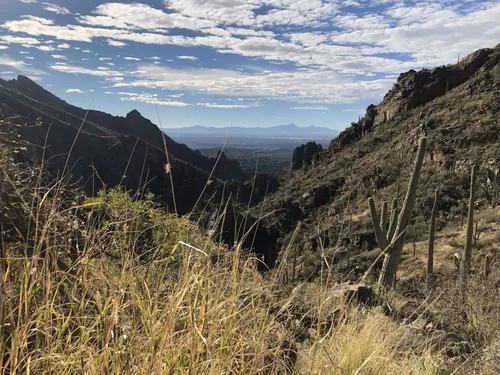 10 Best Hikes and Trails in Pusch Ridge Wilderness | AllTrails