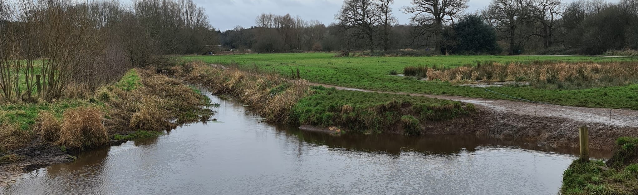 The Red Lion, Horsell Common and Mimbridge Meadows Walk, Surrey ...