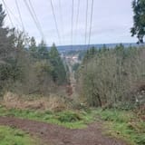 Tolt Pipeline Trail, Washington - 353 Reviews, Map | AllTrails