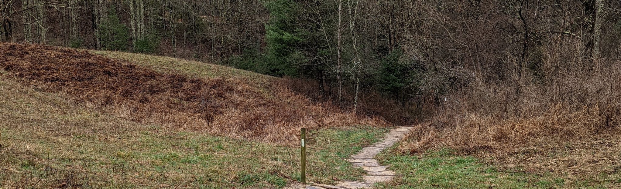 Pump Gap Loop via the Appalachian Trail at Mill Ridge Trail: 20 Reviews ...