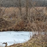 Perry Lake Hiking Trail, Kansas - 117 Reviews, Map | AllTrails