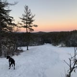 Stonehouse Pond, New Hampshire - 483 Reviews, Map | AllTrails