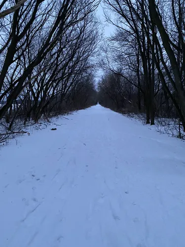 Best Hikes and Trails in Forest Junction | AllTrails