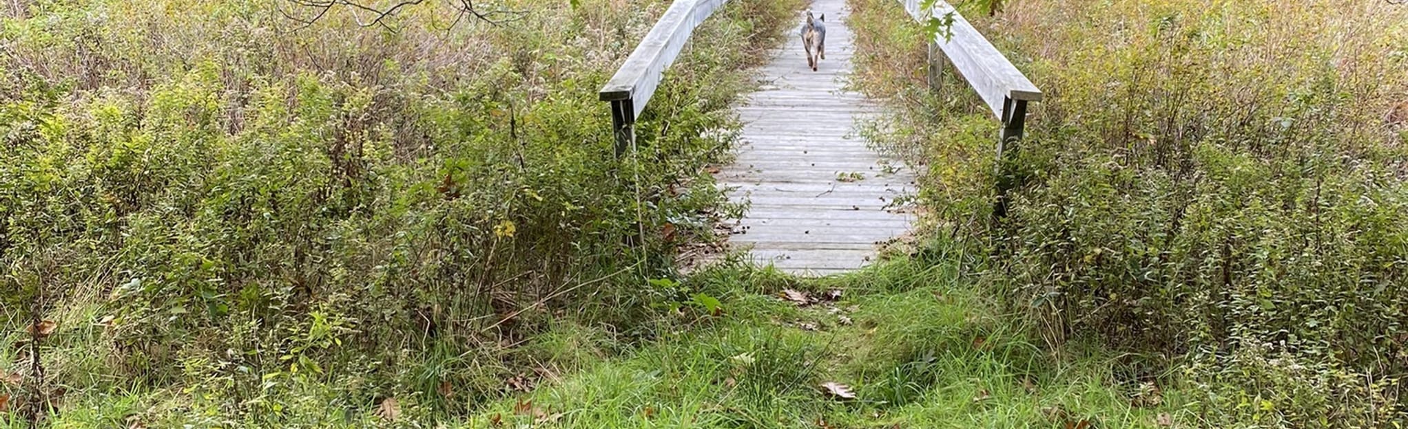 Roberts Island Loop: 2 Reviews, Map - Nova Scotia, Canada | AllTrails