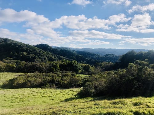 2023 Best Trail Running Trails in El Sobrante | AllTrails