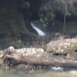 Kinlock Falls, Alabama - 224 Reviews, Map | AllTrails