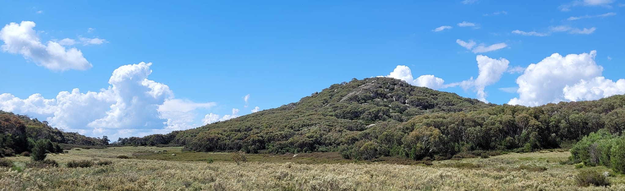 Mount McLeod Track: 31 Reviews, Map - Victoria, Australia | AllTrails