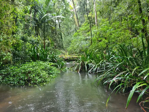 2023 Best 10 Trails and Hikes in Border Ranges | AllTrails