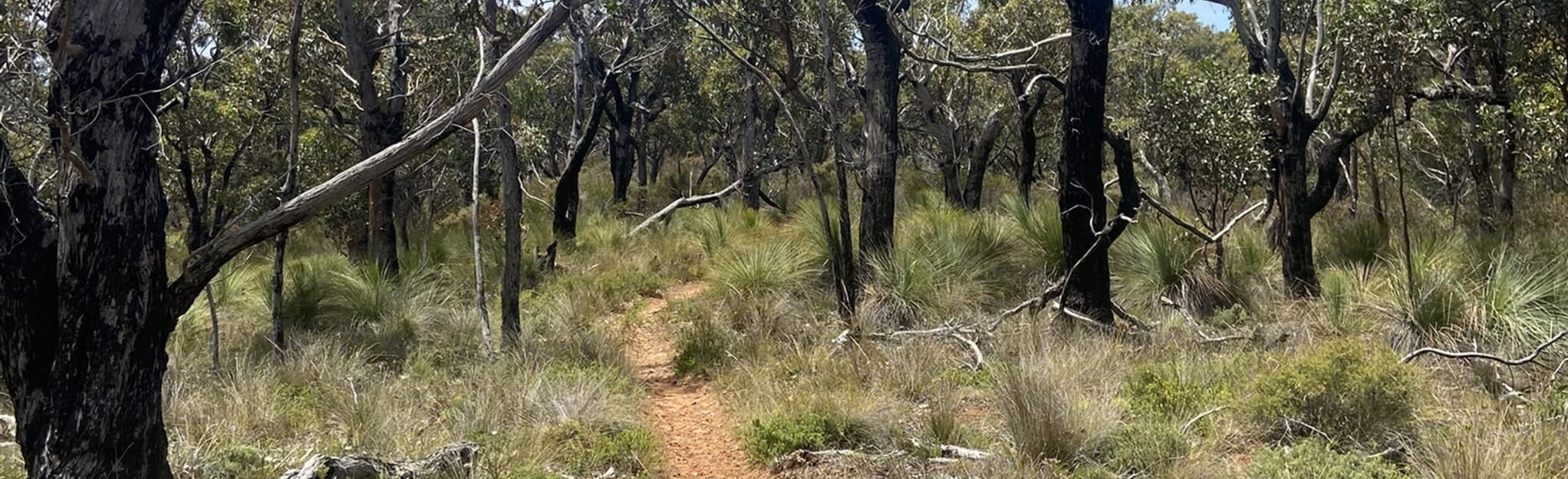 Snakey Gully Track, Victoria, Australia - 22 Reviews, Map | AllTrails