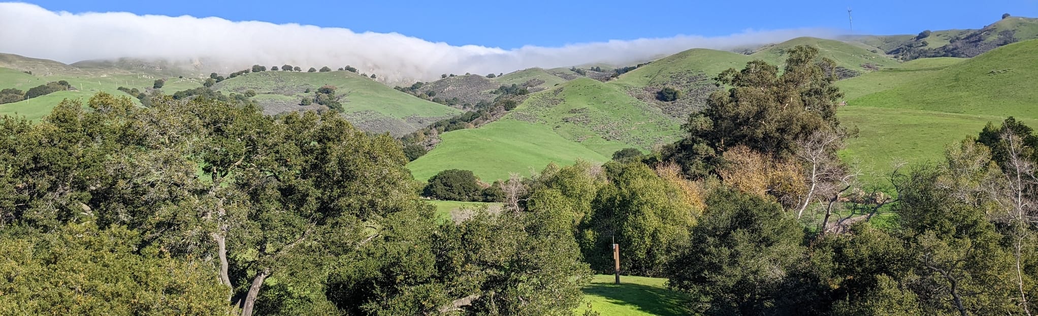 Mission Peak Loop from Stanford Avenue Staging Area, California - 7,796 ...