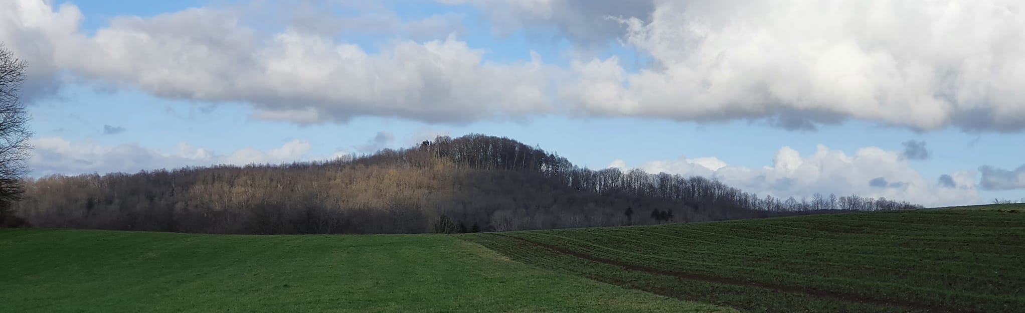 Tholey: Ohlenkopf - Schaumberg Alm, Saarland, Germany - Map, Guide ...